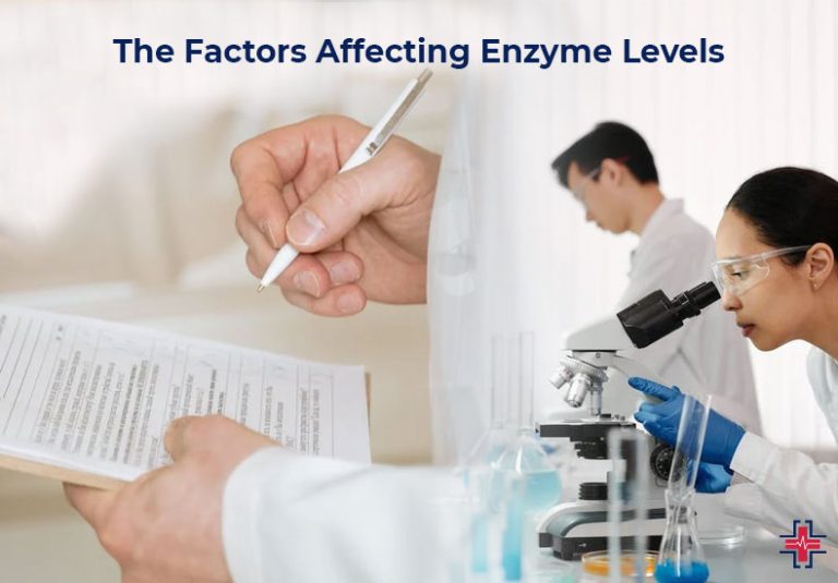 Understanding Cardiac Enzyme Test: Purpose And Normal Ranges | ER of ...